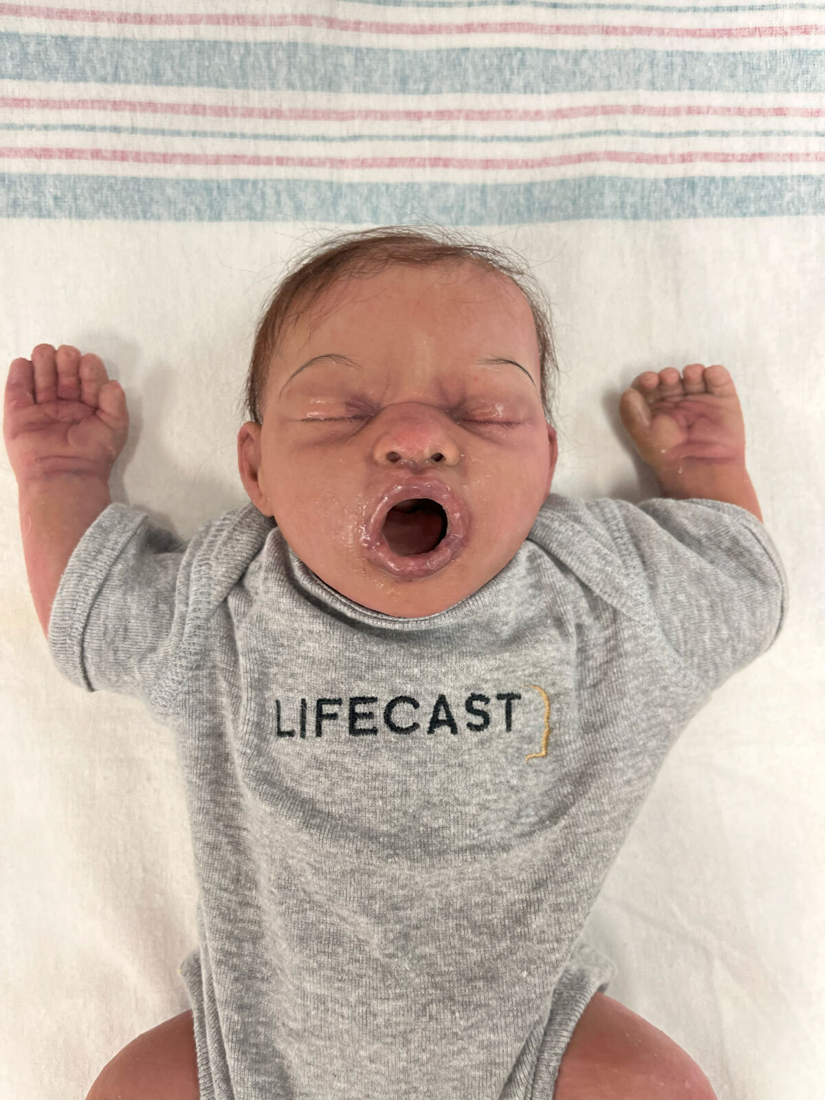 Lifecast Babies - Echo Education Technology
