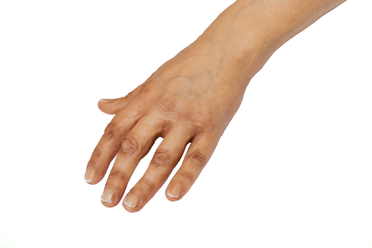Lifecast Adult Manikins - Echo Education Technology