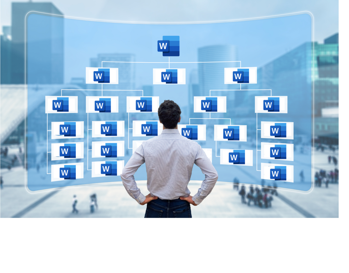 iRIS - Echo Education Technology