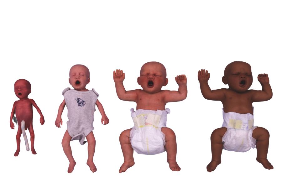 Health Sciences Manikins Echo Education Technology